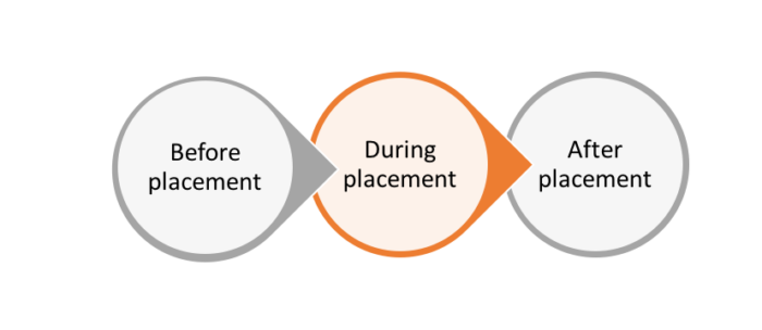Engineering placements: During placement - Advice for universities and ...