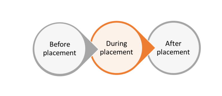 Engineering placements: During placement - Advice for universities and ...