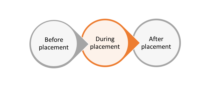 Engineering placements: During placement - Advice for universities and ...