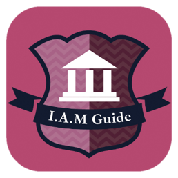 Intellectual Property Toolkit: Intellectual asset management - guide ...