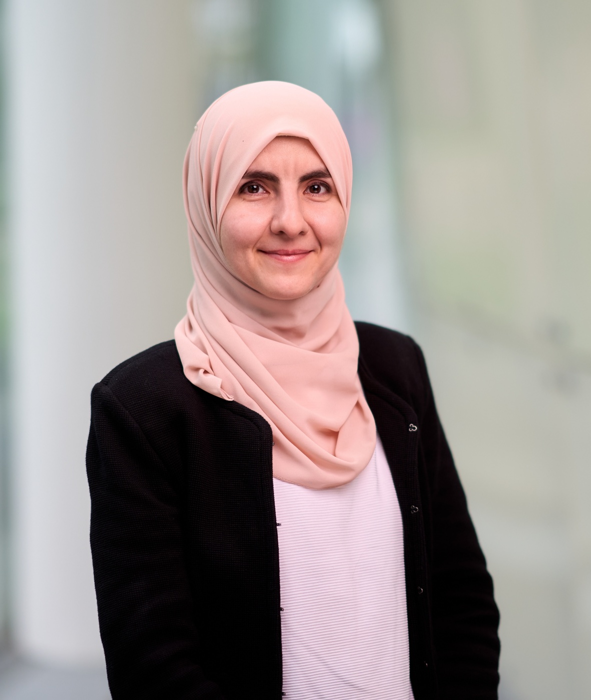 Engineering Ethics Toolkit - Advisory Group and Contributor biographies - Engineering Professors ...